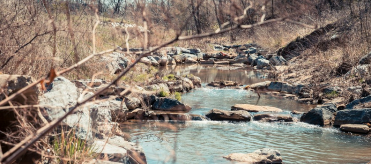 Escape to Nature at These DC City Parks | DC Fray
