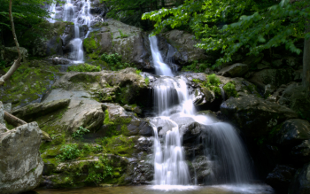 8 Breathtaking Waterfalls Near DC That You Need to Hike to See ASAP ...