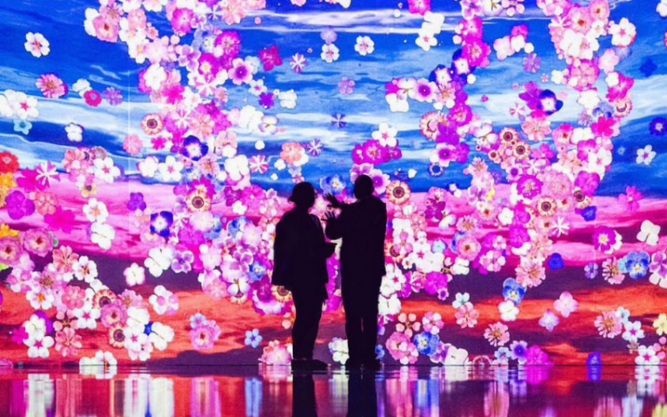 27 Of The Most Fun Things You Can Do In May | DC Fray